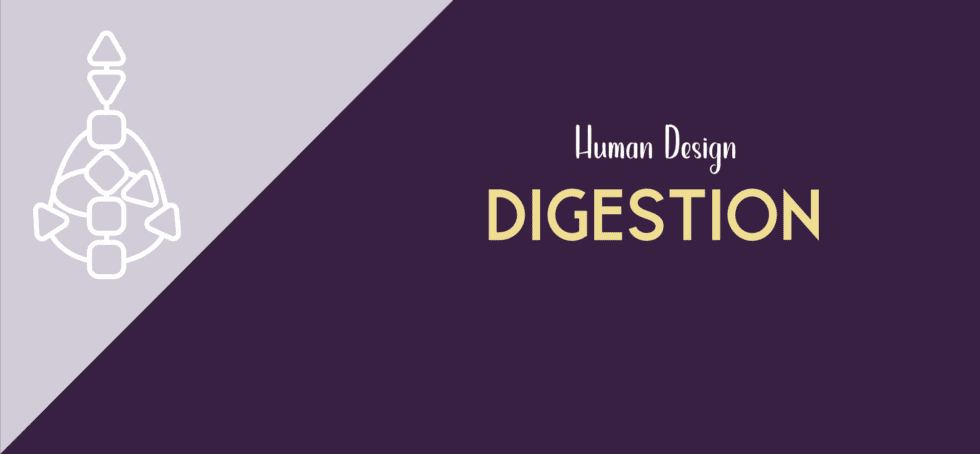 Digestion | Gaffen Stone